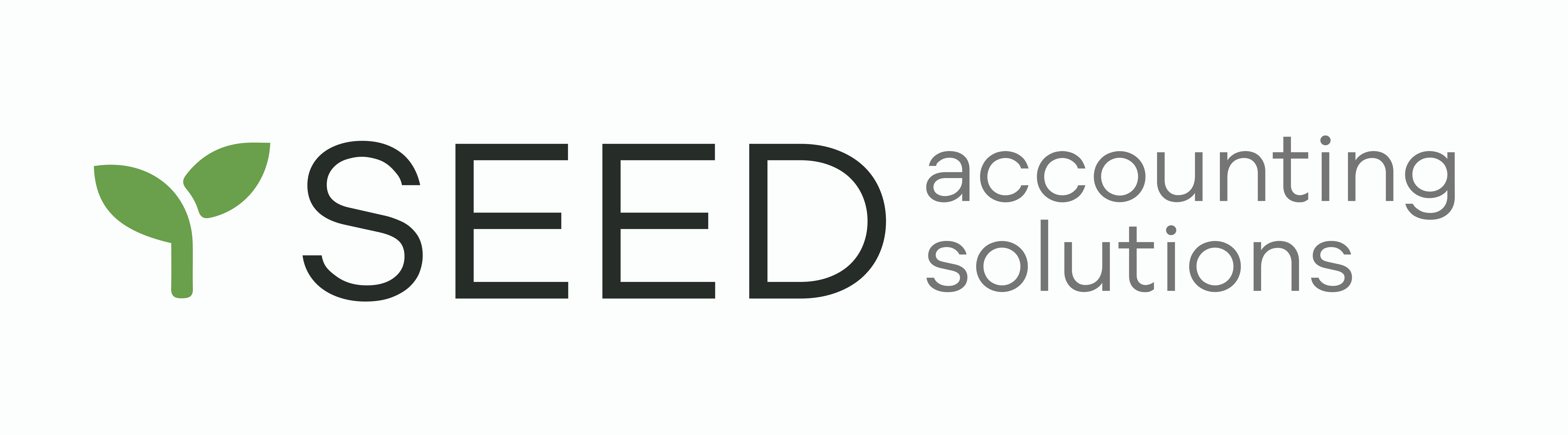 Meet The Team Seed Accounting Solutions